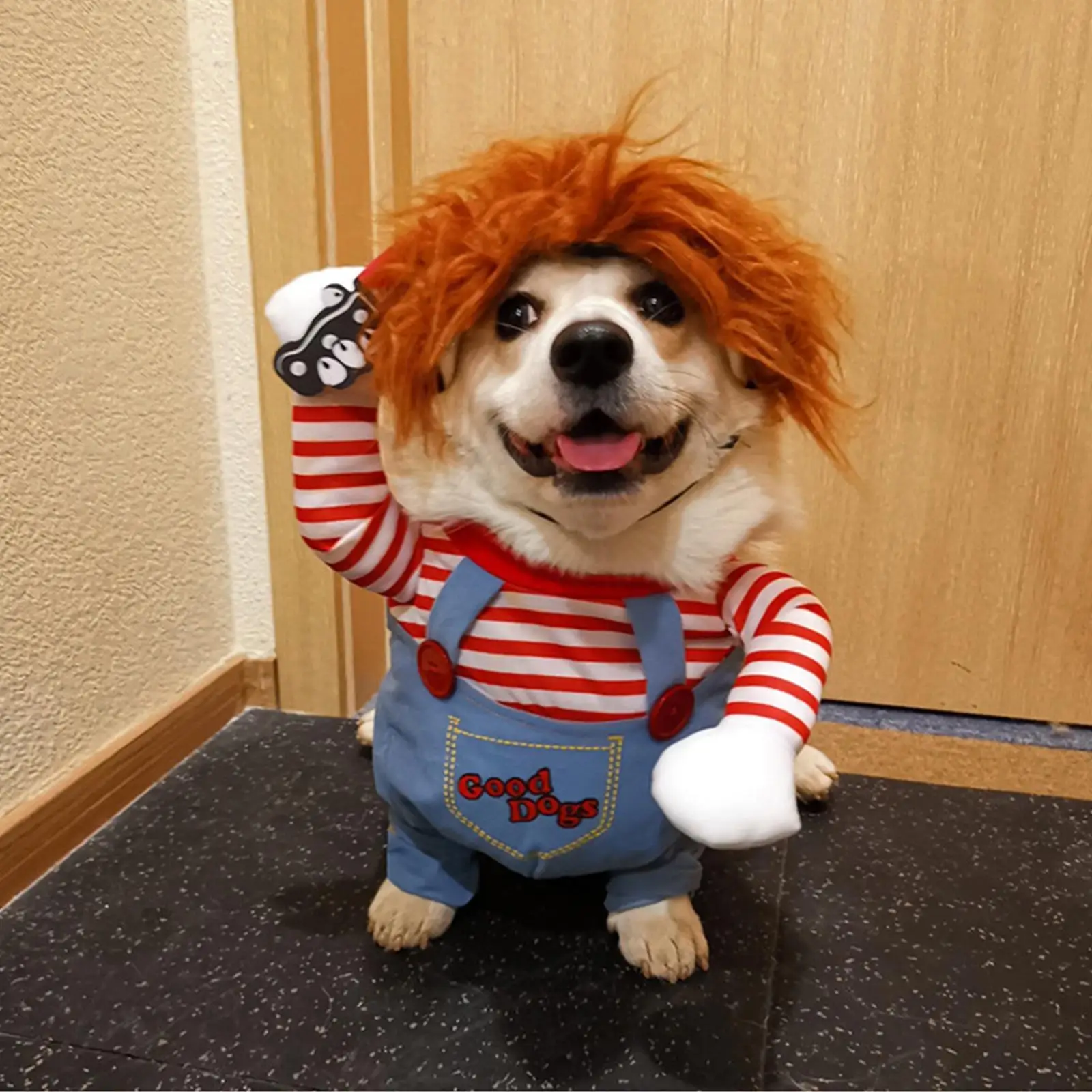 Trajes do cão do dia das bruxas engraçado roupas para animais de ...