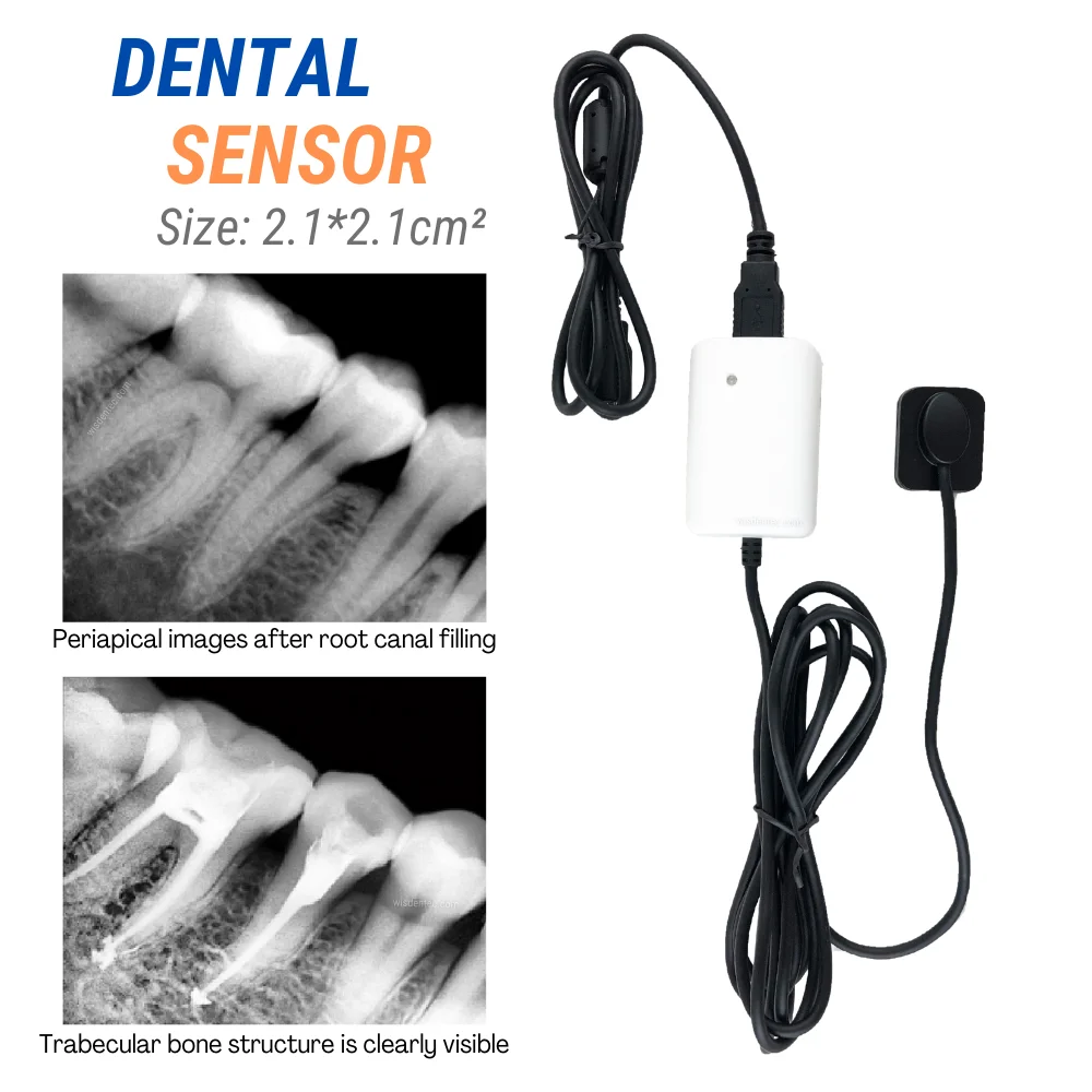 Radiovisografo Dental Digital Sensor RVG Image X Ray Intraoral Camera ...