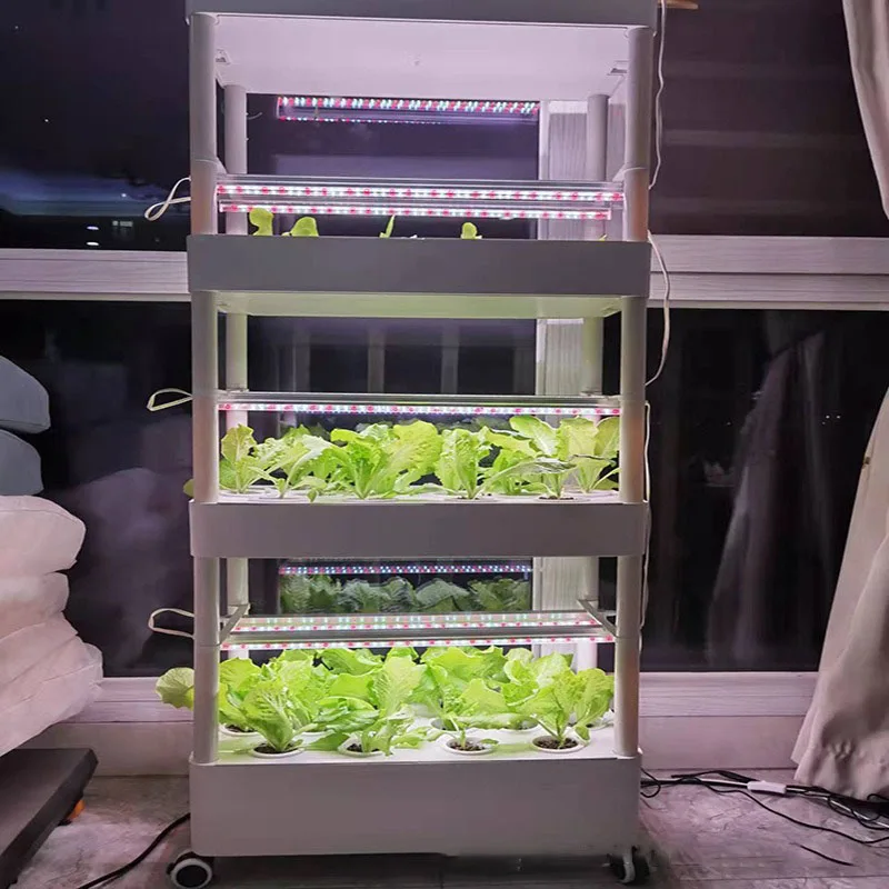 Eco-Friendly Hydroponic Systems for Efficient Gardening