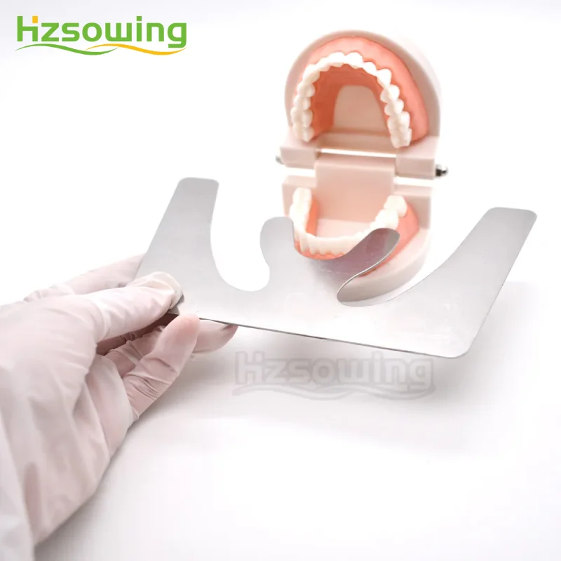 Dental-Orthodontic-Occlusal-Plane-Plate-Maxillary-Casting-Jaw-Fox ...