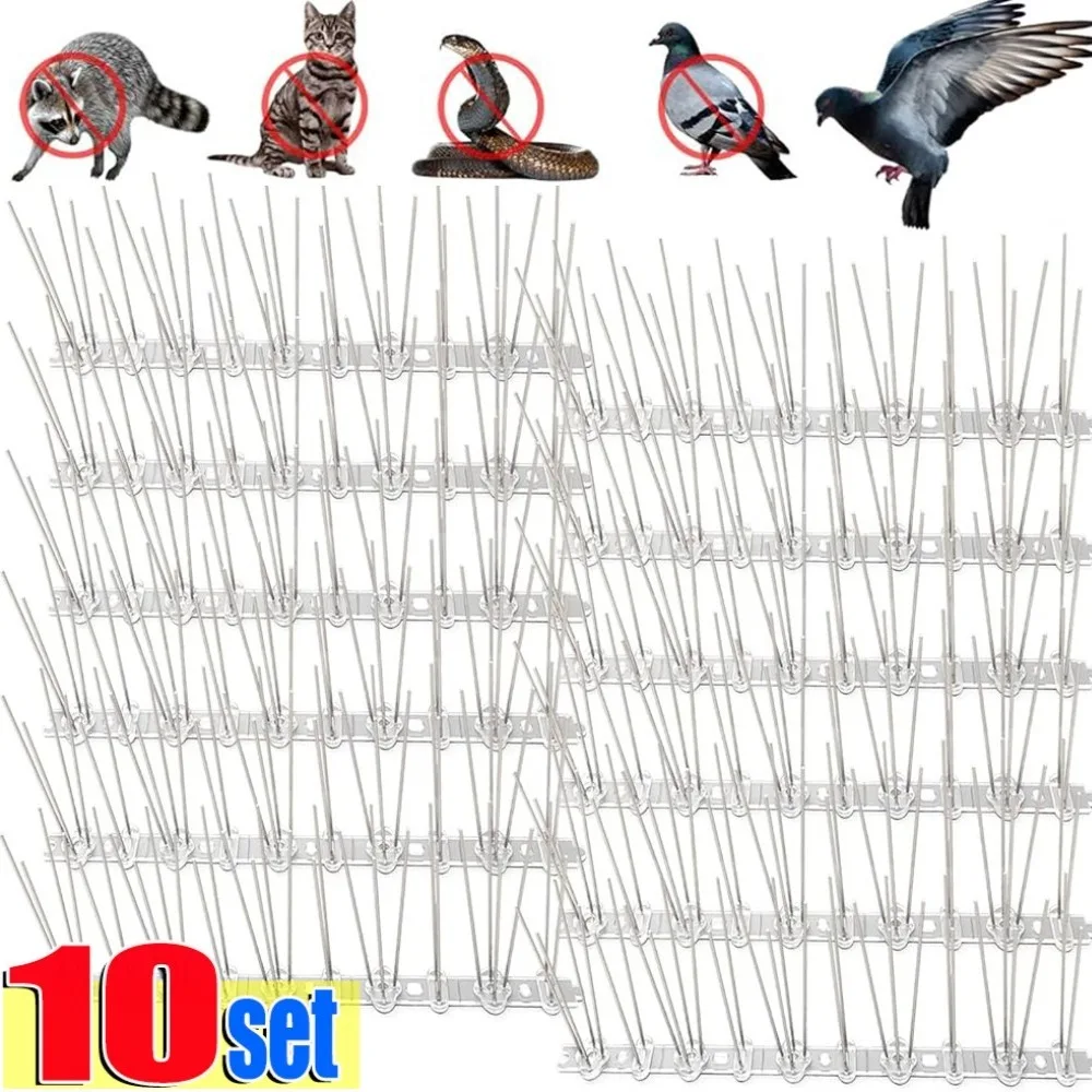 See03af552b404c2eb04cd50d9280c33aW.jpg