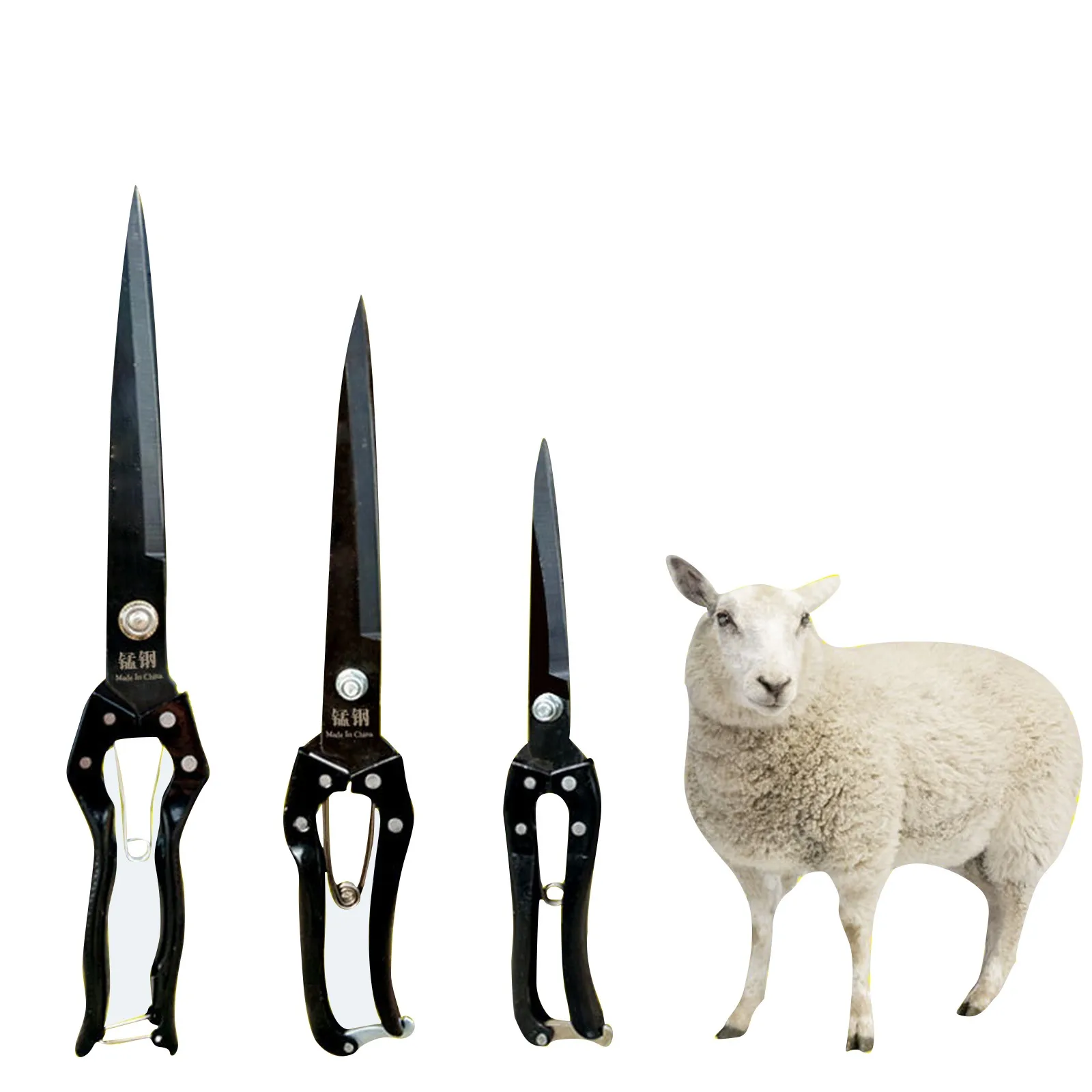 Goat Sheep Wool Scissor Trimmer Hand Shearing Cow Horsehair Wool ...