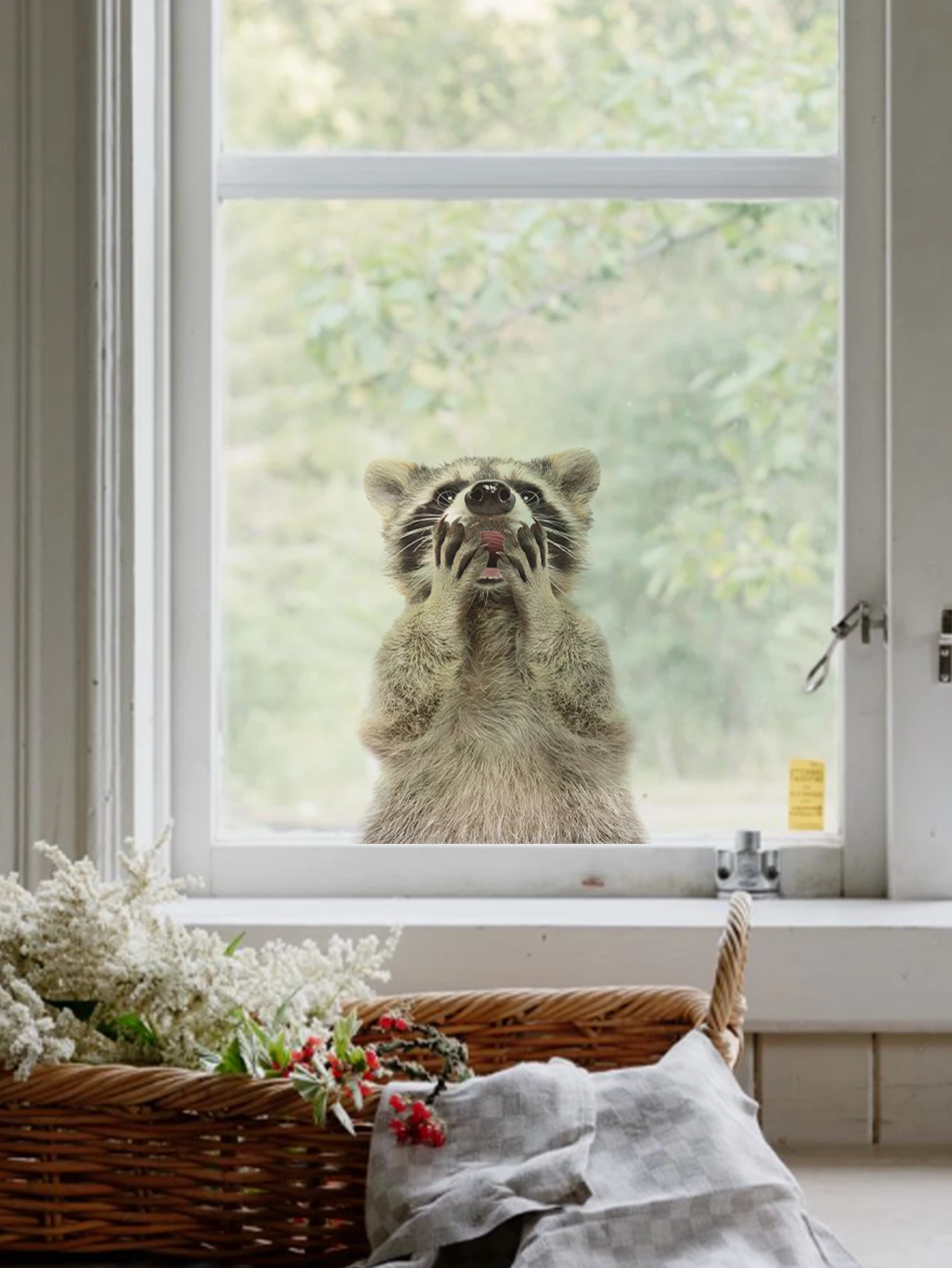 1PC Gray Raccoon Pattern Design Window Sticker Waterproof Non Adhesive ...