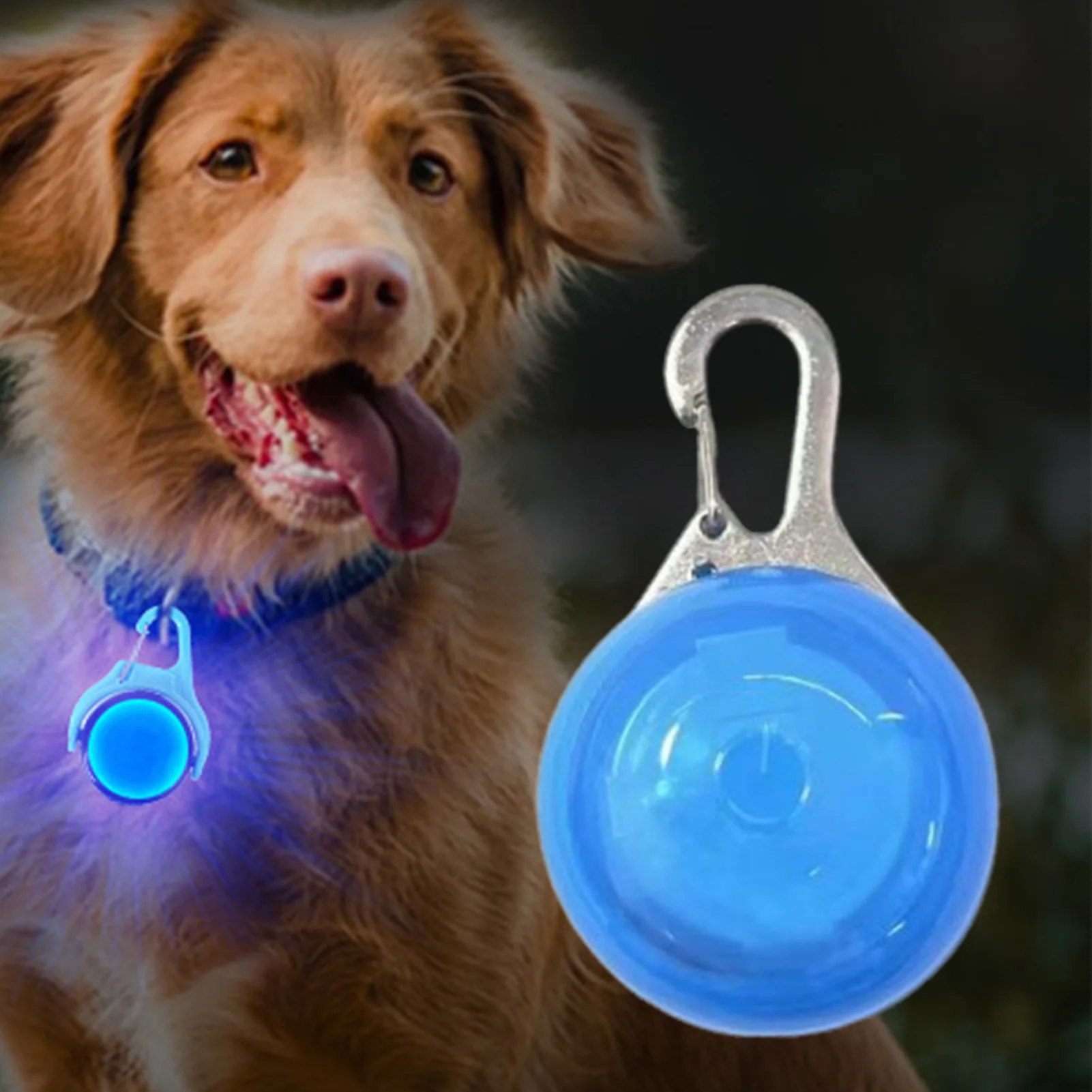 LED Glow Dog Collar Pendant Light Up Pet Accessories Night Safety ...