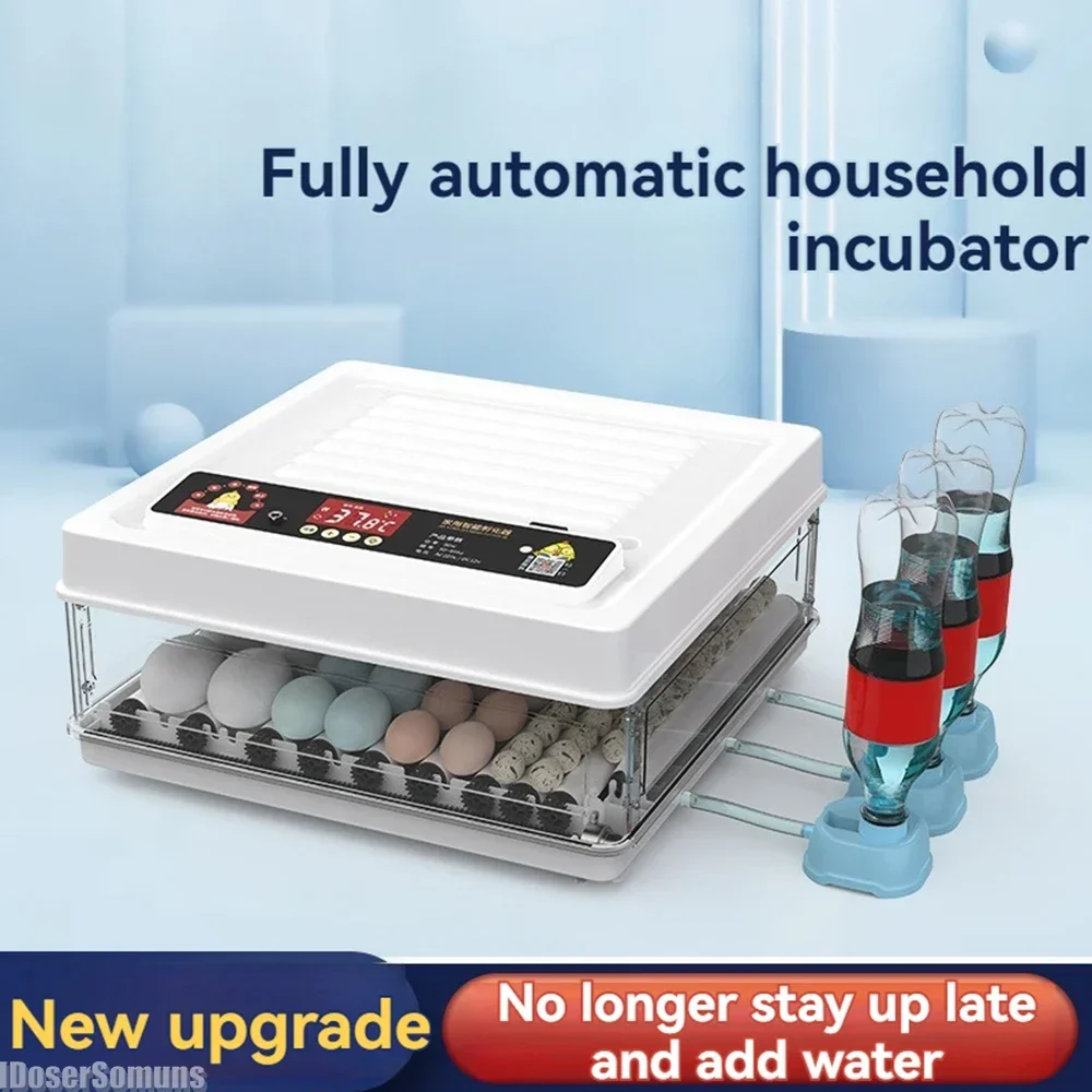 Dupla-pot-ncia-pequena-incubadora-autom-tica-totalmente-Rudin-galinha-ovo-segurando-m-quina-de ...