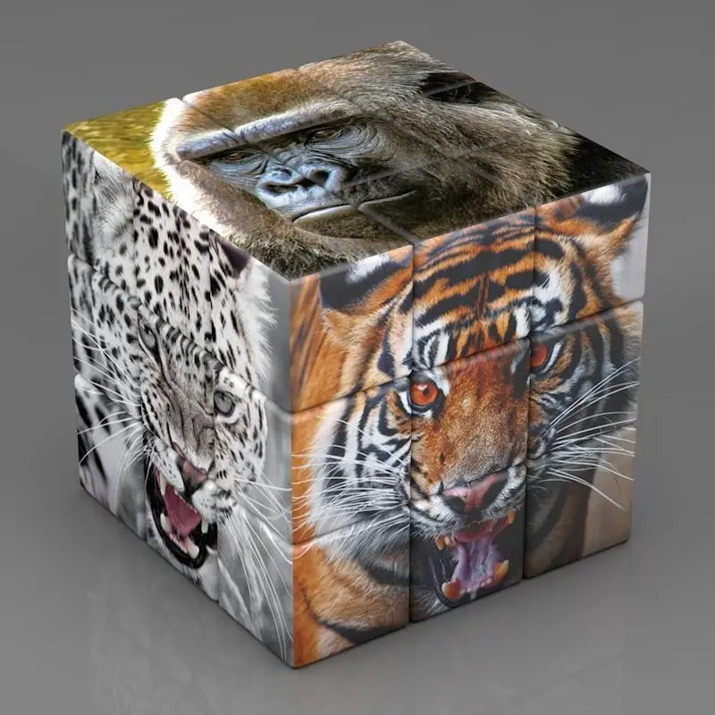 3D-3x3x3-Speed-Cube-Braille-Fingerprinting-For-Animal-Cubes-Alta ...