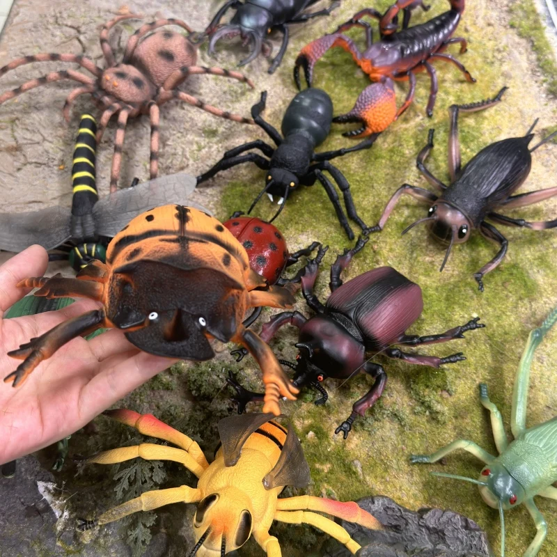 Wild Insect Animals Model Set Butterfly Scorpion Mantis Cicada Lizard ...
