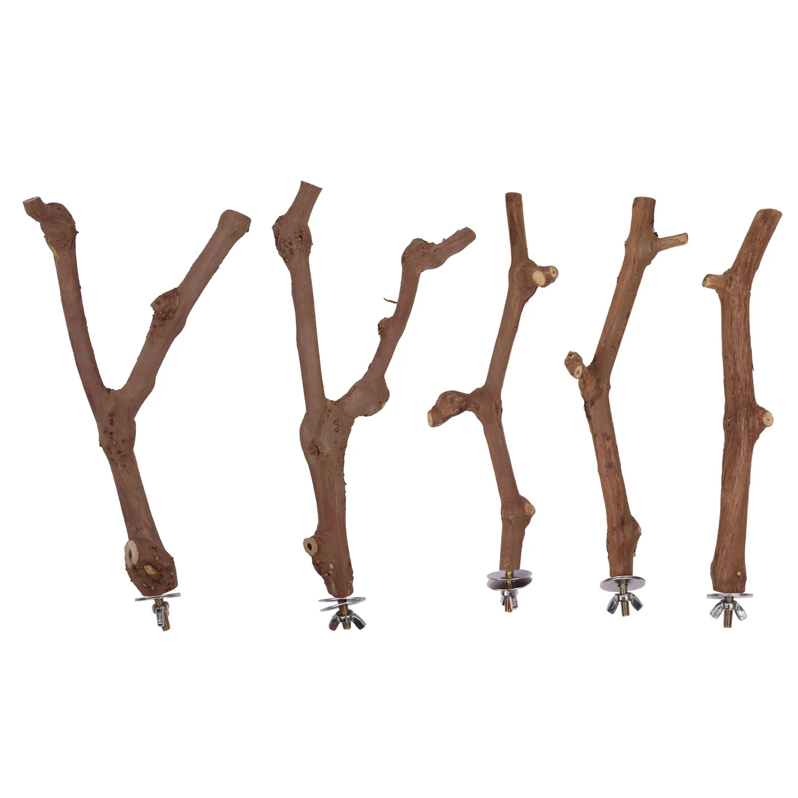 Skinless Grapes: The Perfect Natural Material for Avian Enrichment