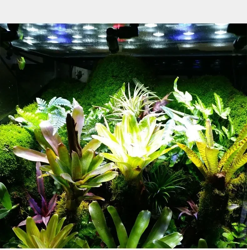 360 Degree Reptiles Misting Sprinkler – Thrive Ecosystems