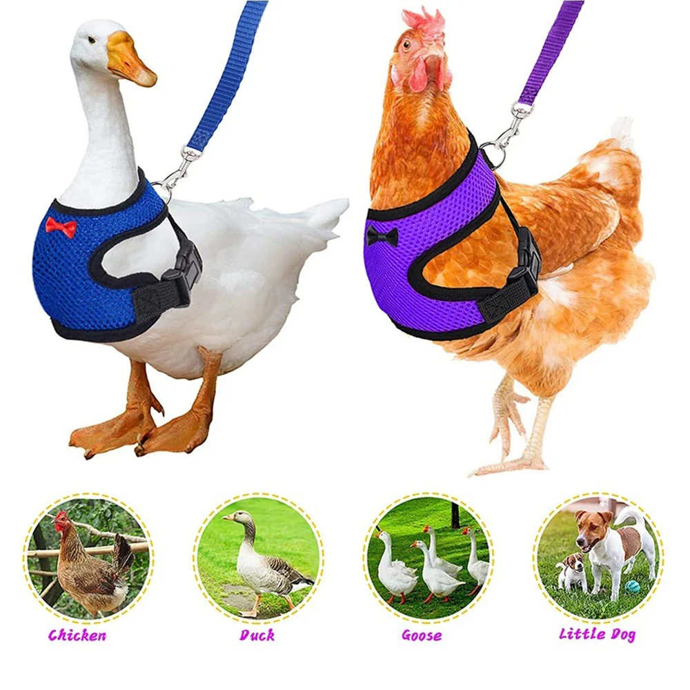 Adjustable-Duck-Chicken-Harness-Leash-Comfortable-And-Breathable-Small ...