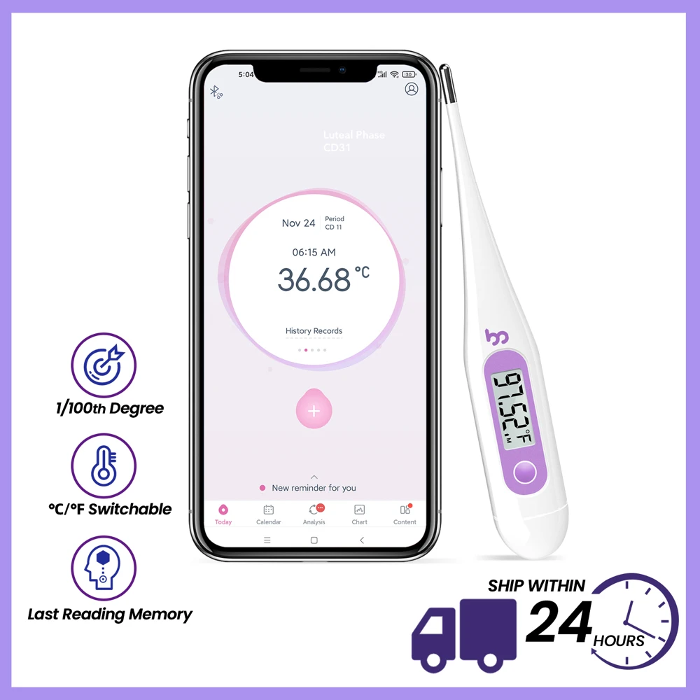 Femometer Digital Thermometer 1/100th Degree High-precision With Memory ...