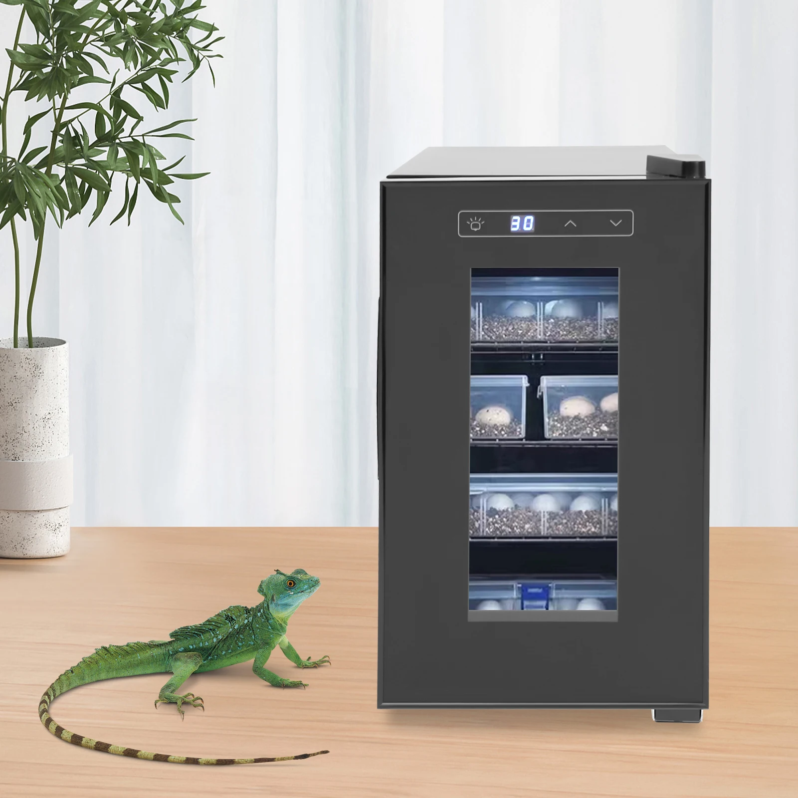 Professional Reptile Egg Incubator w/Precise 50-104°F Digital ...
