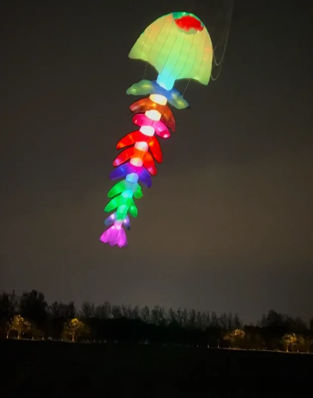 Fish bone kite windsock outdoor toys led kite rainbow kite games ...