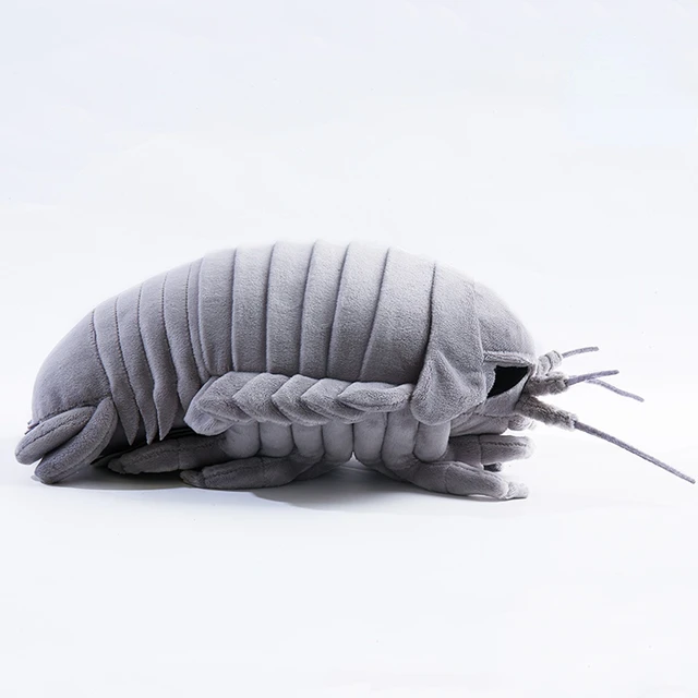 Giant Isopod Plush UK Online | www.pinnaxis.com
