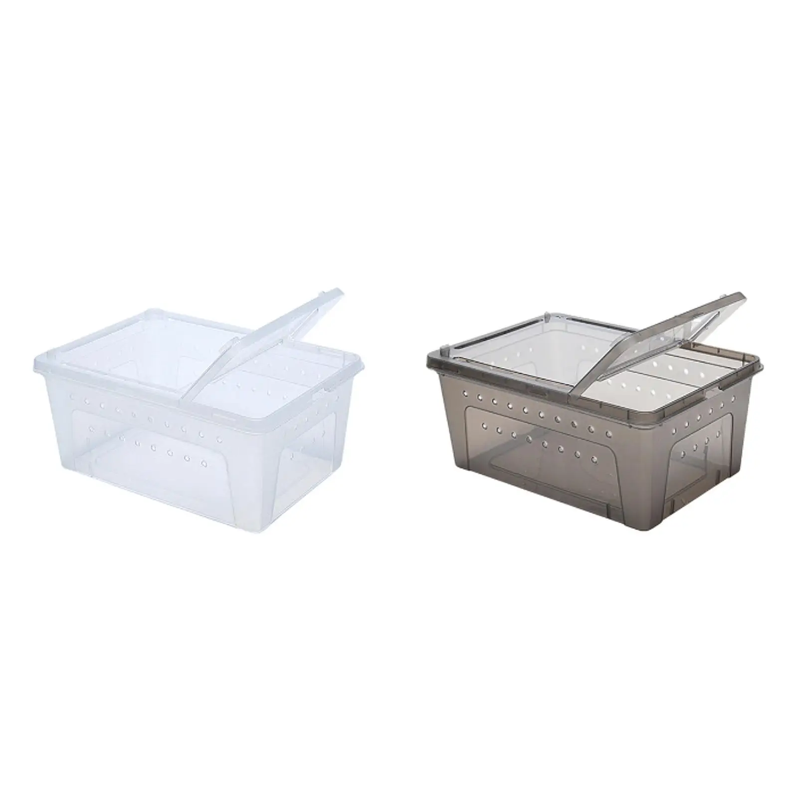 Portable Reptile Feeding Box Plastic Incubator Turtle Transport ...