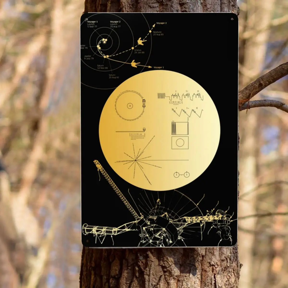 Voyager 2 Plaque