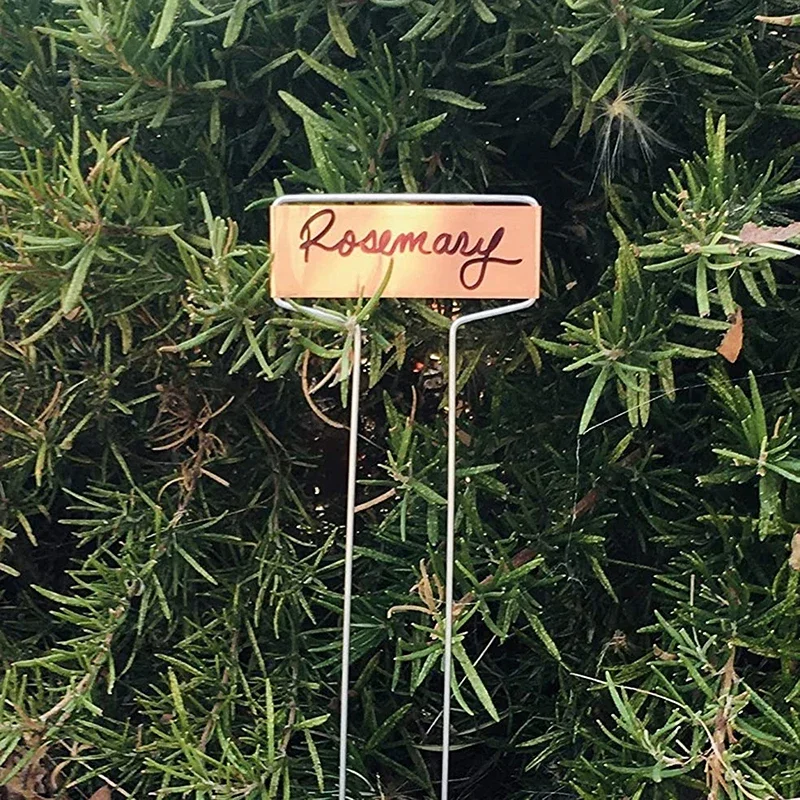 Copper Plant Labels – Everyday Garden