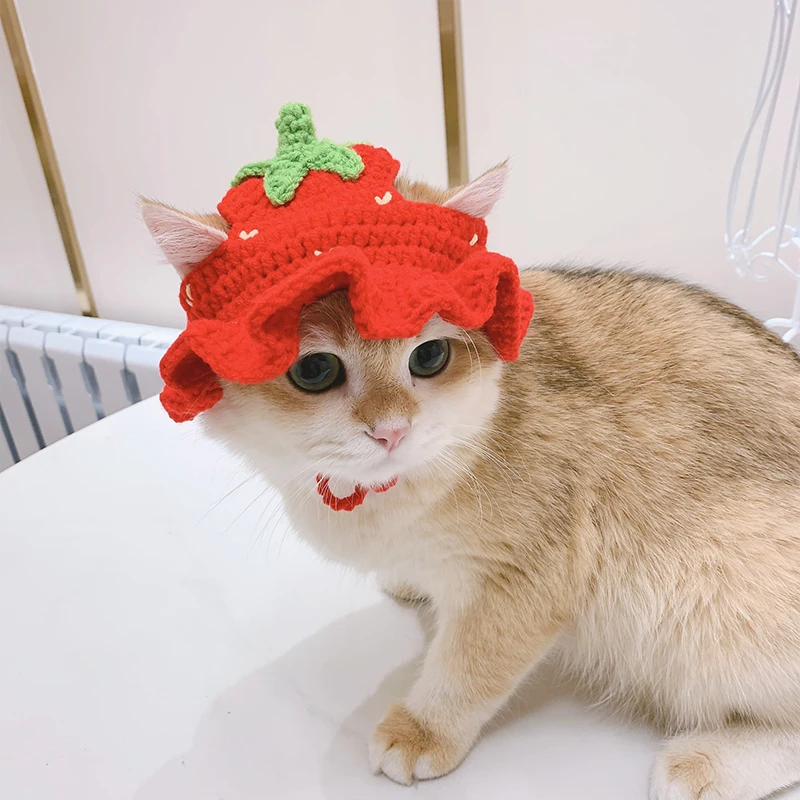 Cute Kittens Wearing Hats