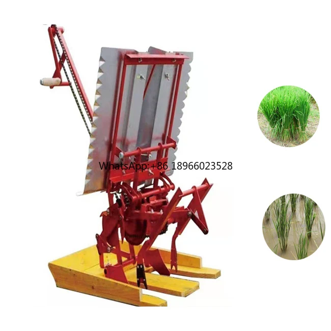 Single-line-home-use-Paddy-planter-rice-planting-machine-popular-rice ...