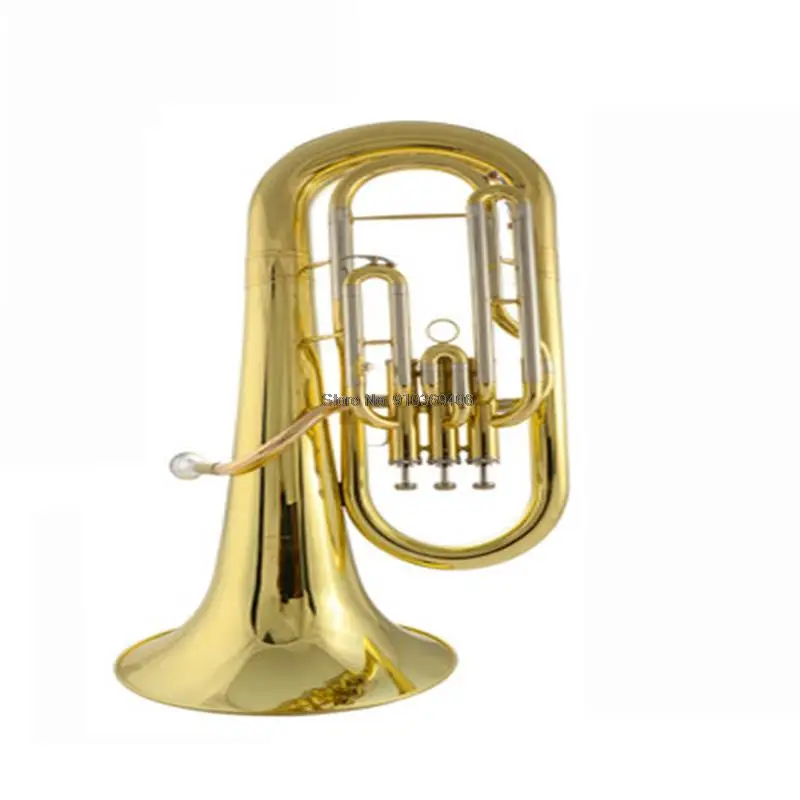Professional Euphonium 3 Straight Key Bb Bass French Horn Gold Lacque ...