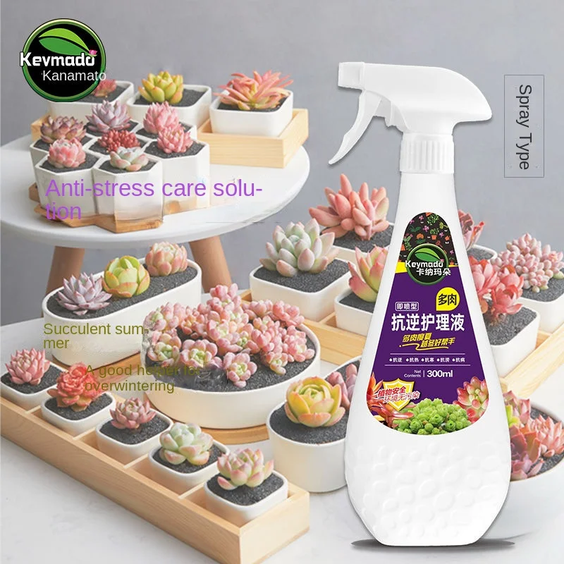 Succulent-Anti-stress-care-liquid-anti-heat-anti-cold-and-anti-disease ...