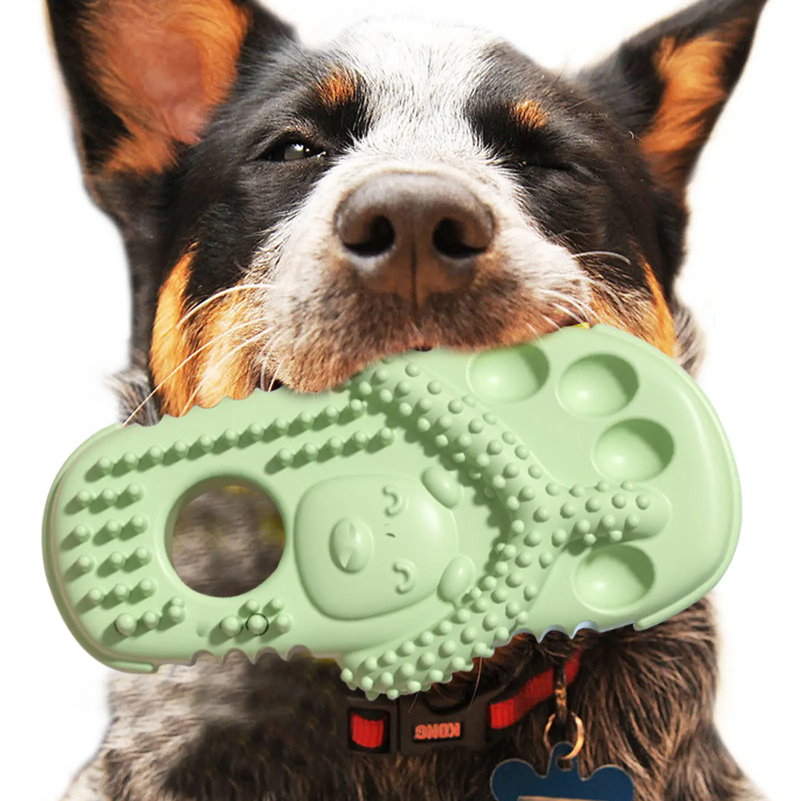 Slipper-Shape-Dog-Chew-Toys-TPR-Dog-Teething-Toys-Interactive-Puppy ...