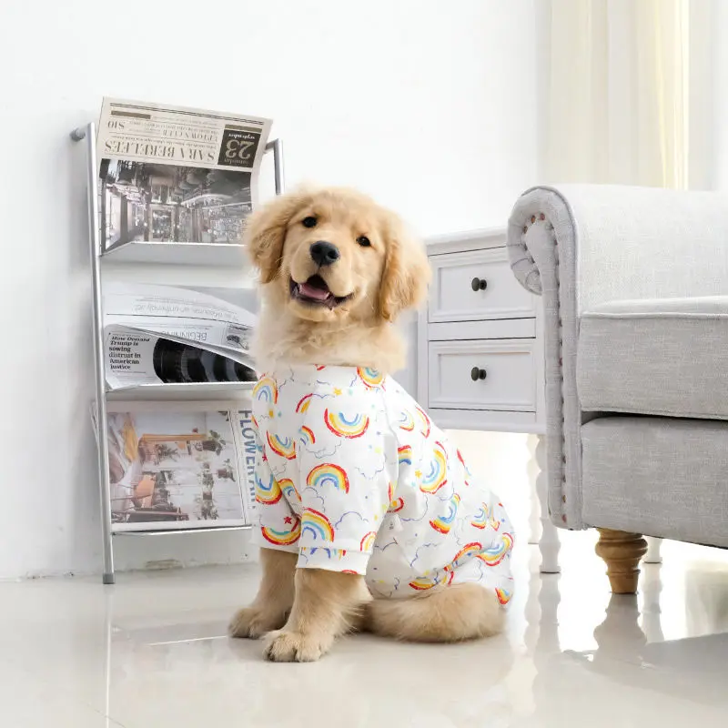 Golden Retriever Puppies In Pajamas