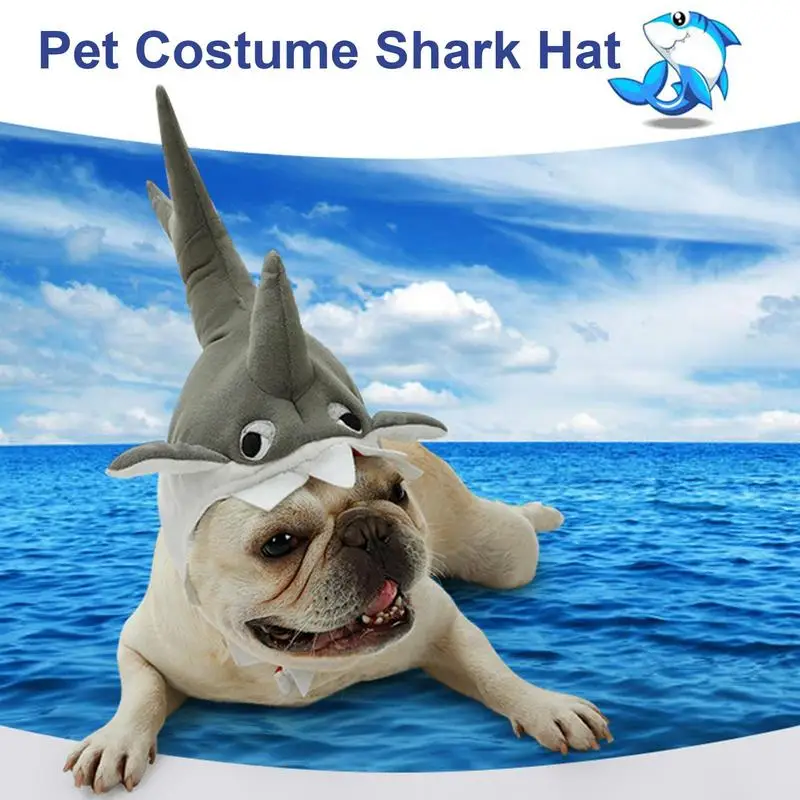 Shark Costume For Dogs