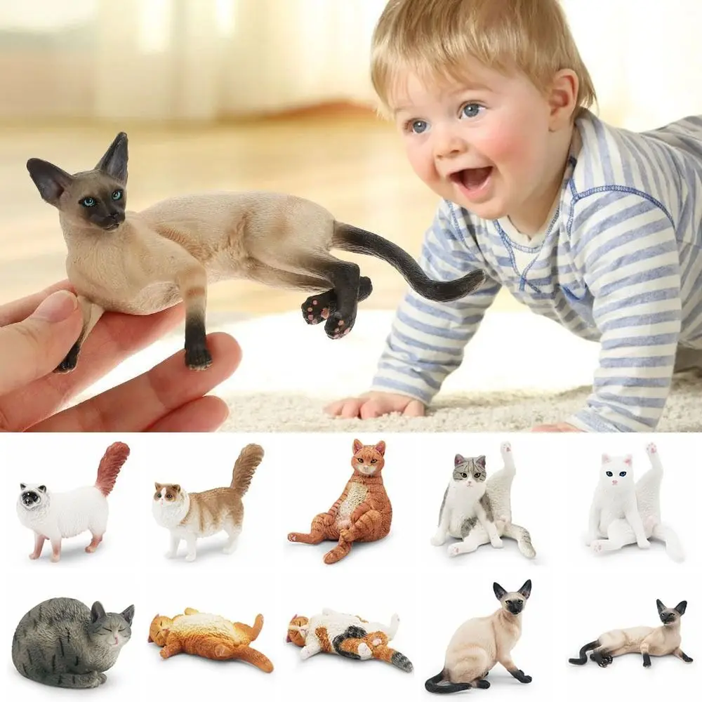 Realistic-Cat-Model-Ornament-Cat-Figure-Kids-Doll-Toy-Kitten-Statue ...