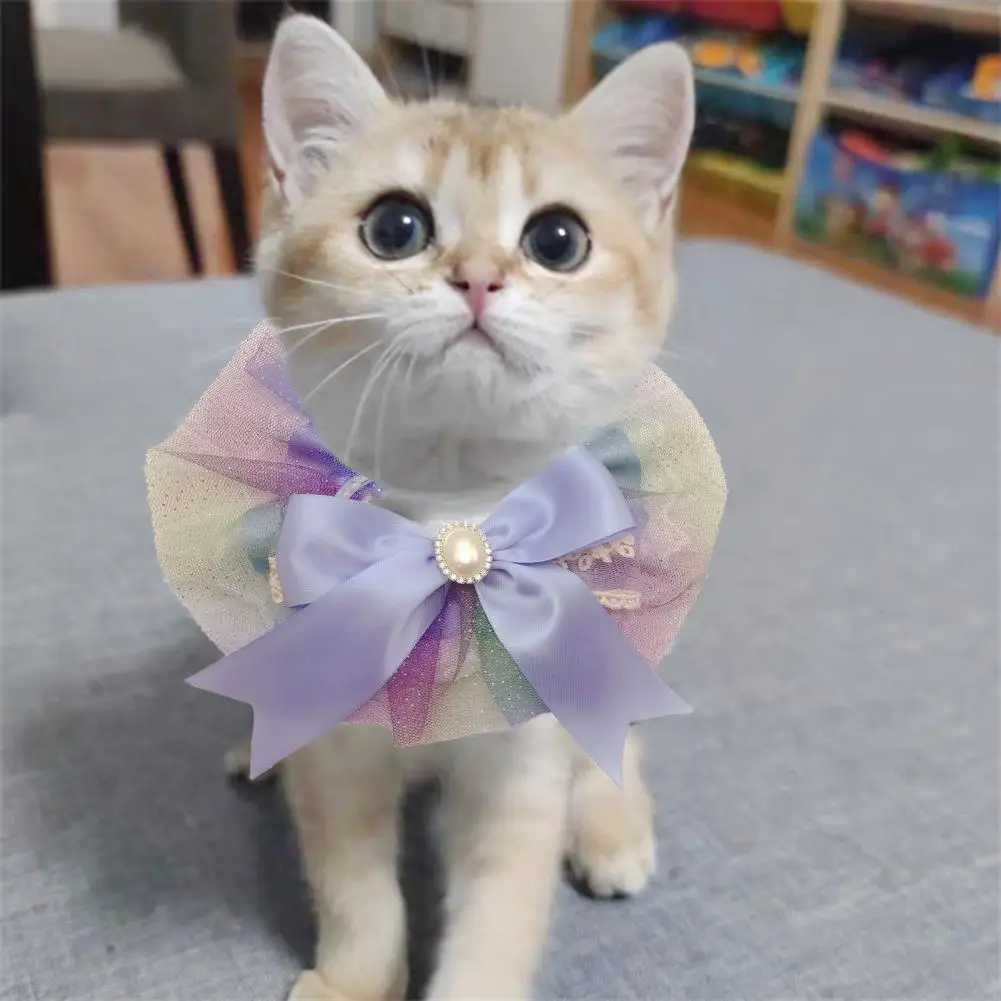 Cat-Bib-Lace-Bibs-Bow-knot-Decor-Adjustable-Rope-Tie-Fashion-Cat-Dog ...