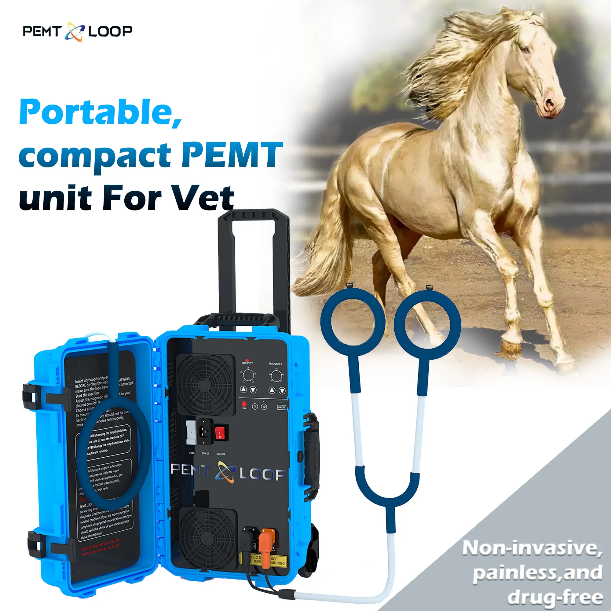 Equine-PEMF-Therapy-Device-PEMT-LOOP-Horse-Magnetic-Physiotherapy ...