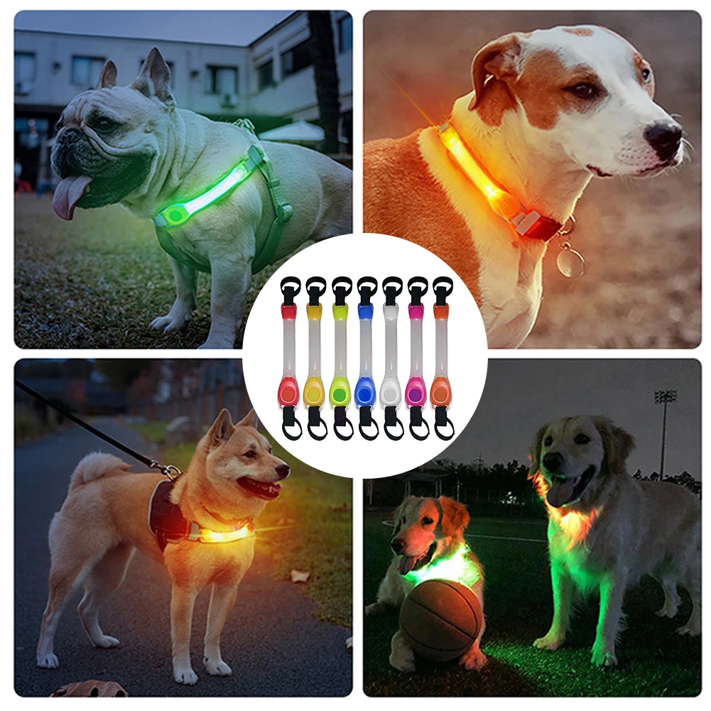 Dog-Anti-Lost-Safety-Glowing-Collar-Outdoor-Waterproof-Warning-LED ...