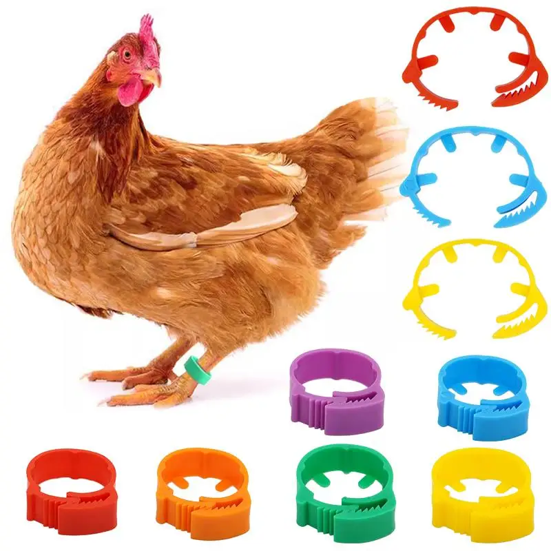 50/100Pcs 23Mm Open Adjustable Chicken Foot Rings Plastics Poultry Leg ...