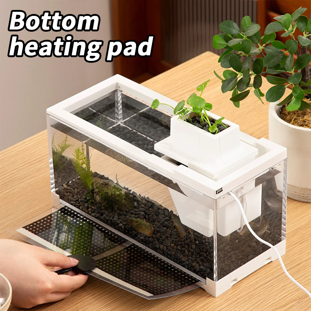 Fish-Tiny-Fish-Tank-Office-Small-Betta-Aquarium-Light-With-Filter-Micro ...