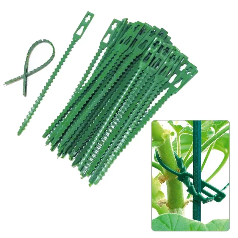 Self-locking-Plastic-Tie-Adjustable-Plastic-Plant-Cable-Tie-Reusable ...