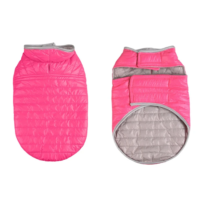 Dog down jacket manufacturer - KisSweety