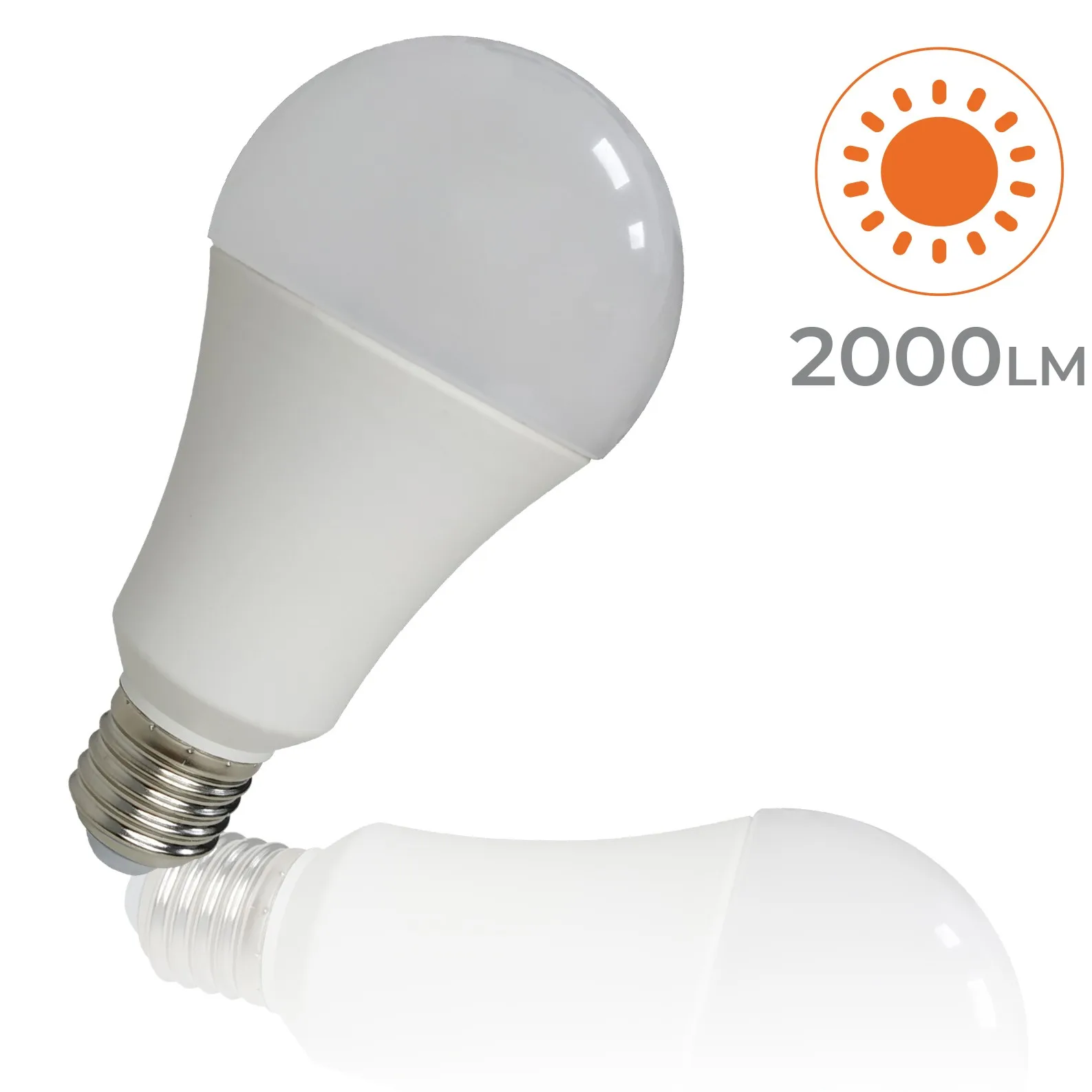 2000 Lumen Led Bulbs