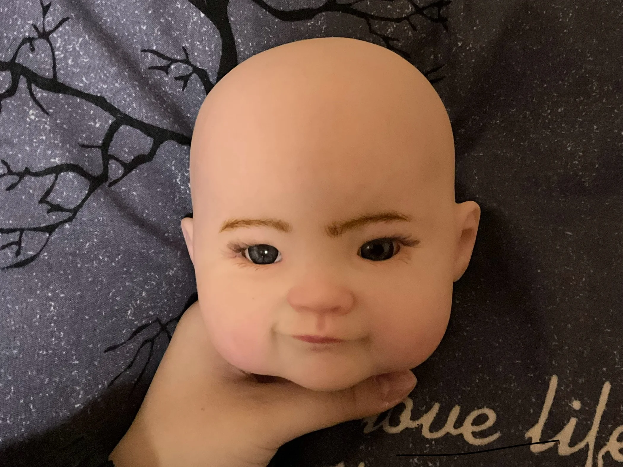 FBBD-Custom-Made-BY-ShanShan-19inch-Reborn-Baby-Naomi-With-Limbs-and ...