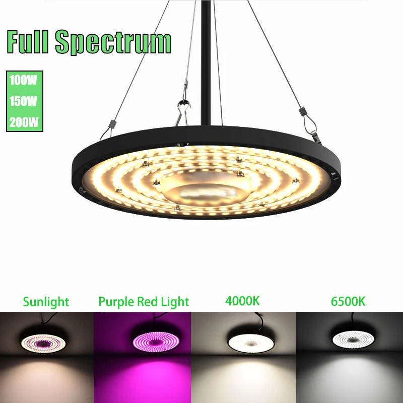 Store Home Products Sale Feedback