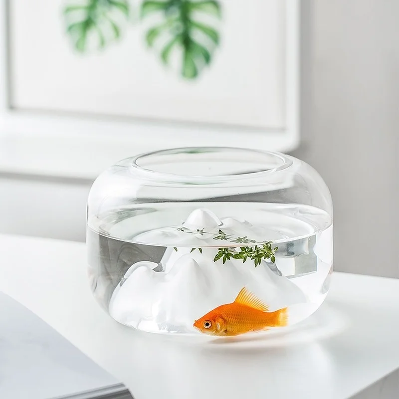 Transparent-Crystal-Glass-Oval-Fish-Tank-Hydroponic-Plant-Living-Room ...
