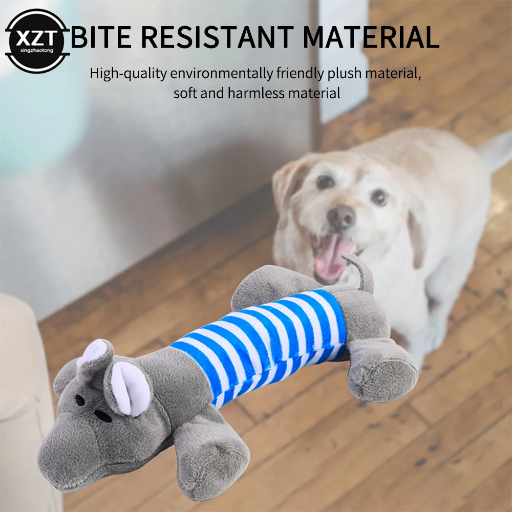 The Veterinary Pet Toy
