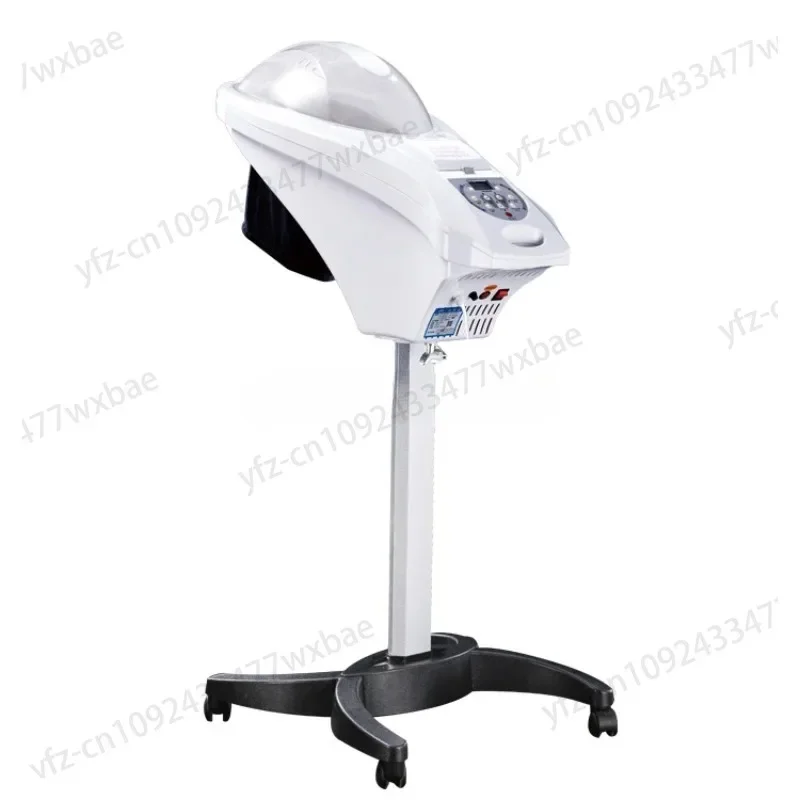 Professional-Vertical-Evaporation-Machine-Beauty-Salon-Uses-Ozone-Micro ...