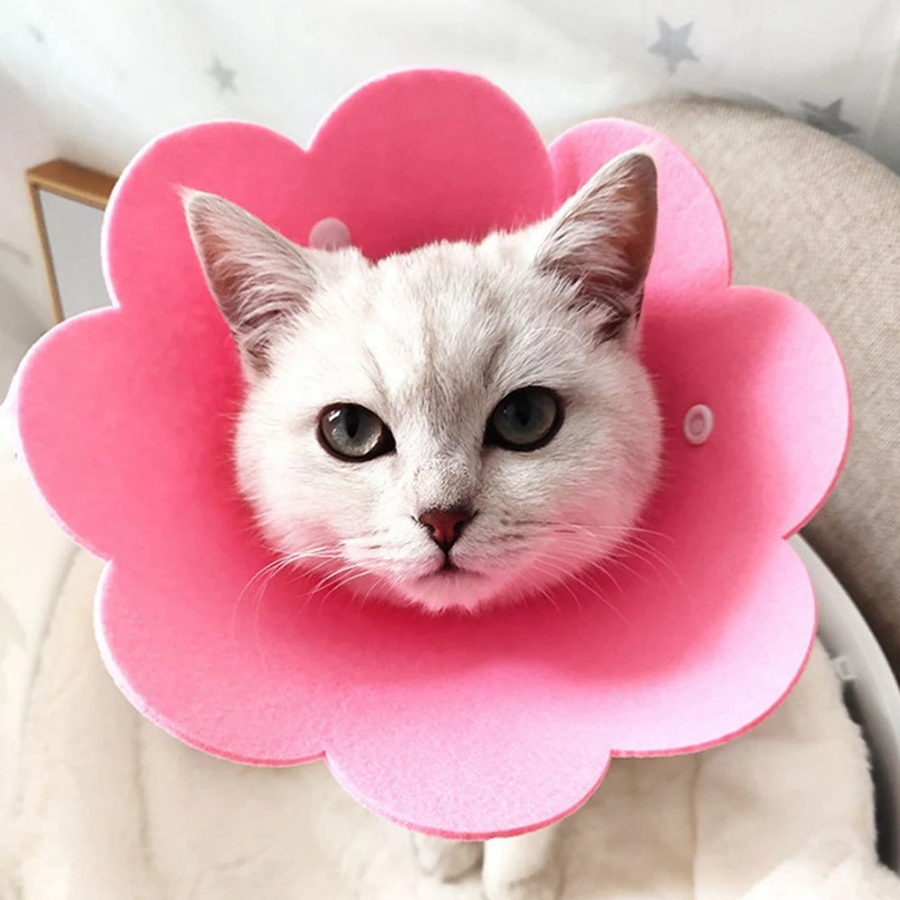 Flower-Design-Cat-Cones-Cat-Recovery-Collar-Soft-for-Cat-Wound-Healing-Protective-Cone-After ...