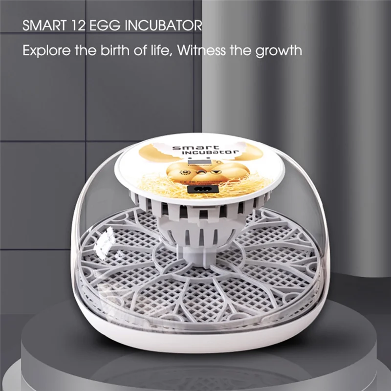 Auto-Egg-Turning-Incubator-com-refil-de-gua-incuba-o-Chicken-Pigeon-EU ...