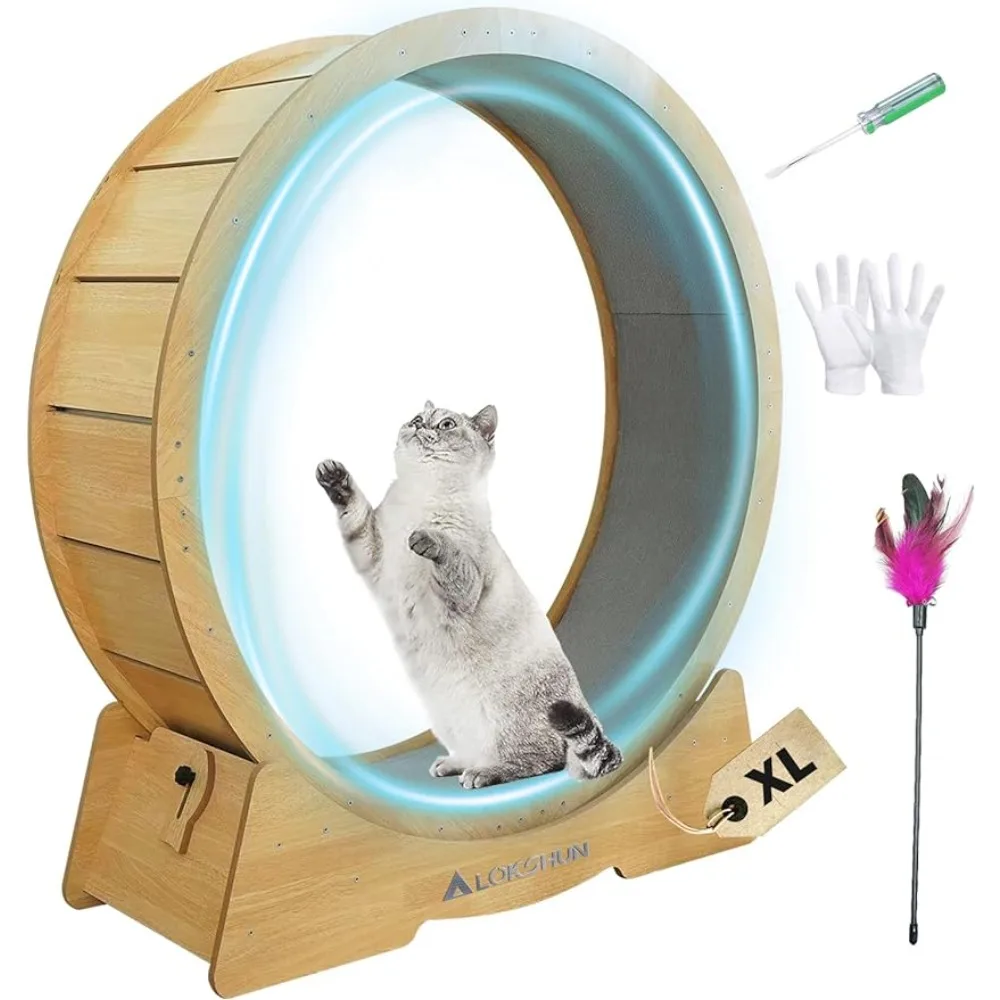 Cat-Wheel-Cat-Exercise-Wheel-with-Lock-Pin-Great-Weight-Loss-Cat-Wheel ...