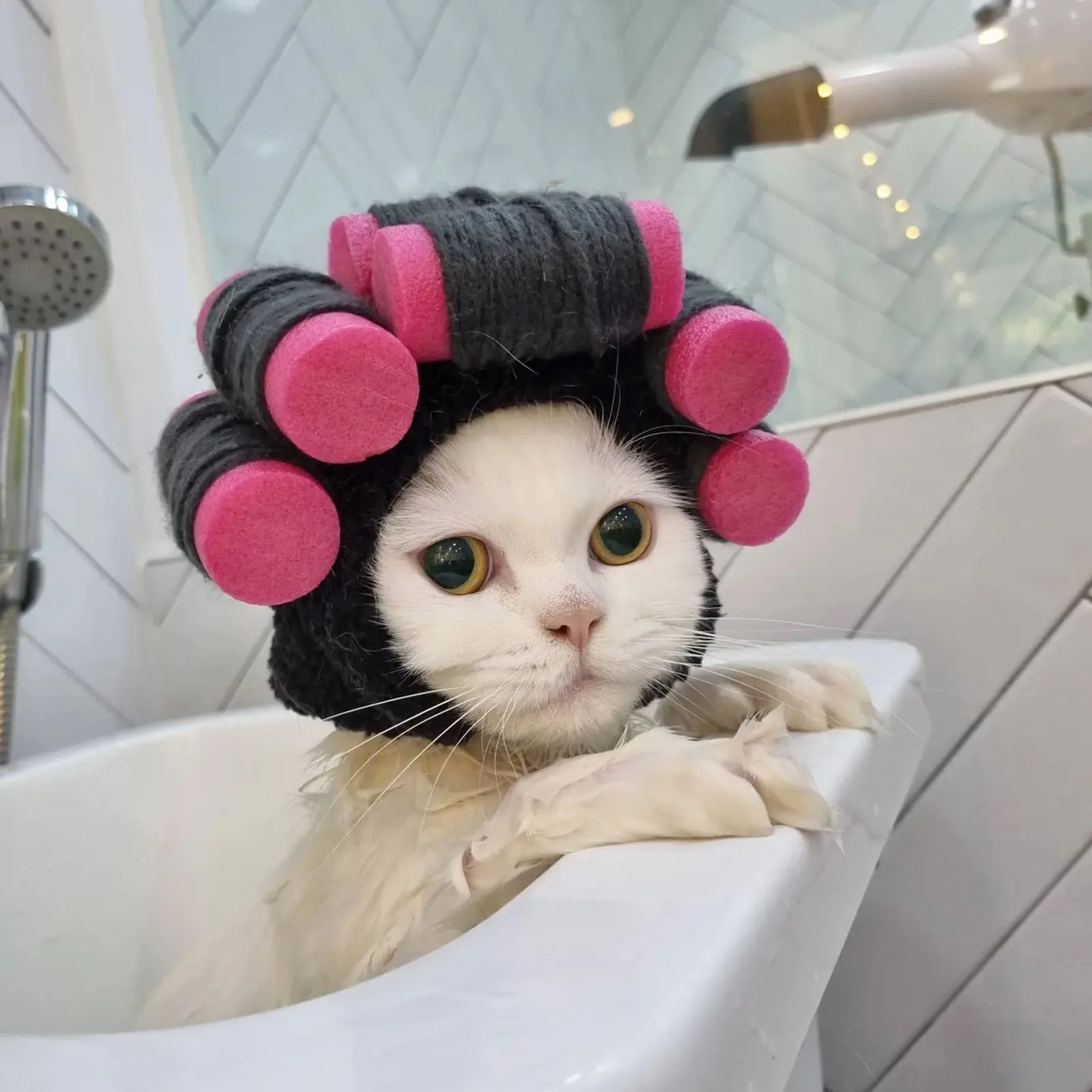 Hair Roller Cap Headgear Dog Hat Hair Rollers Fake Bangs Funny ...