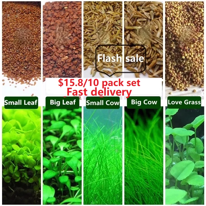 10pcs Aquarium Plants Fish Tank Decoration Grass Easy To Plant Quickly ...