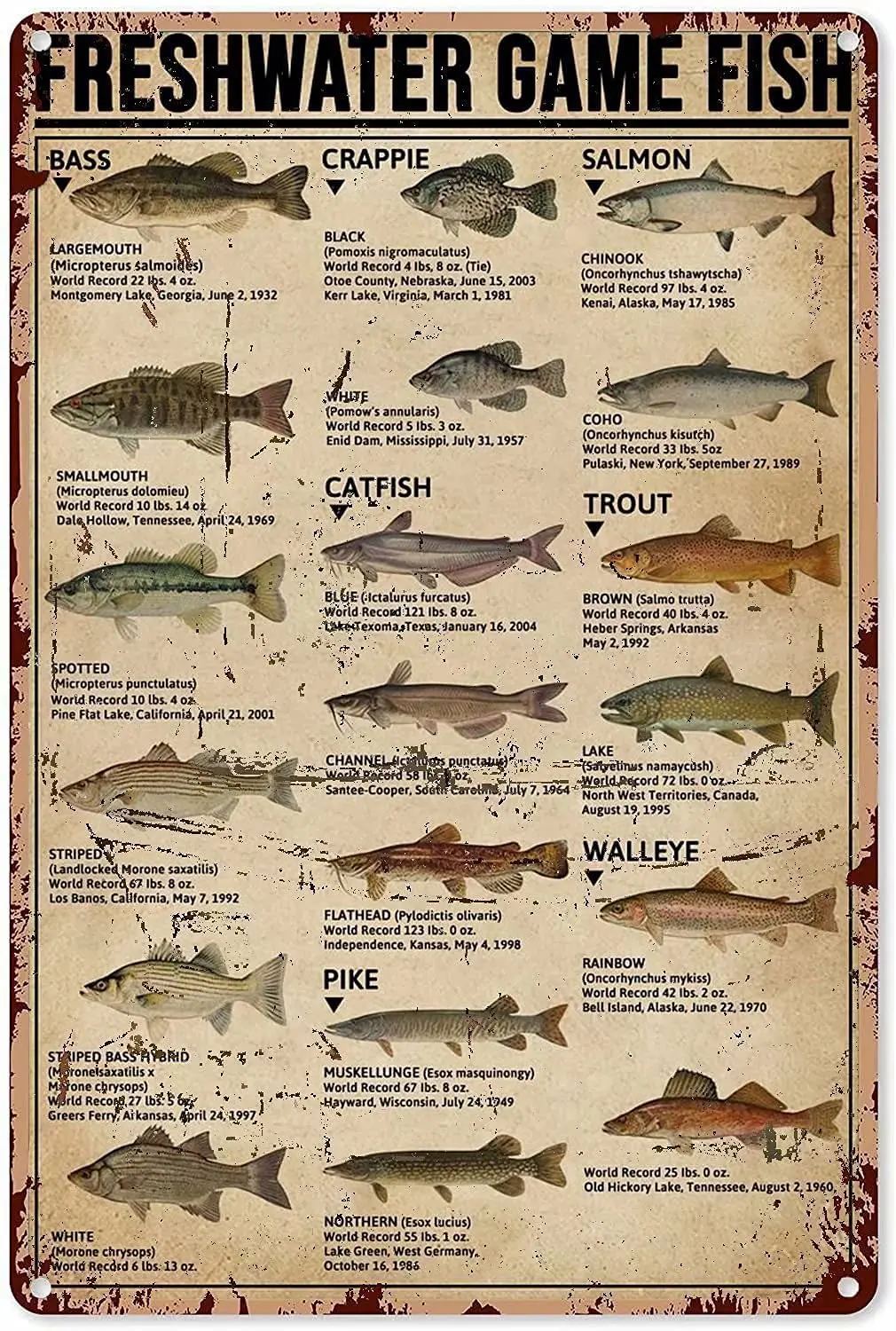 Texas Game Fish Species
