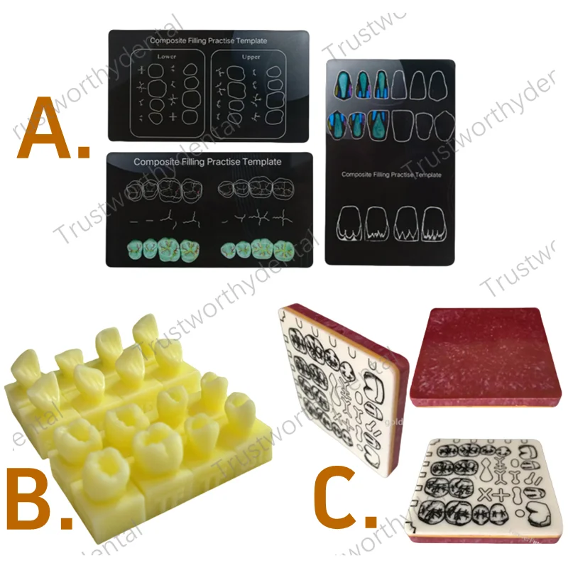 Dental Composite Filling Practice Board Model Teeth Template ...