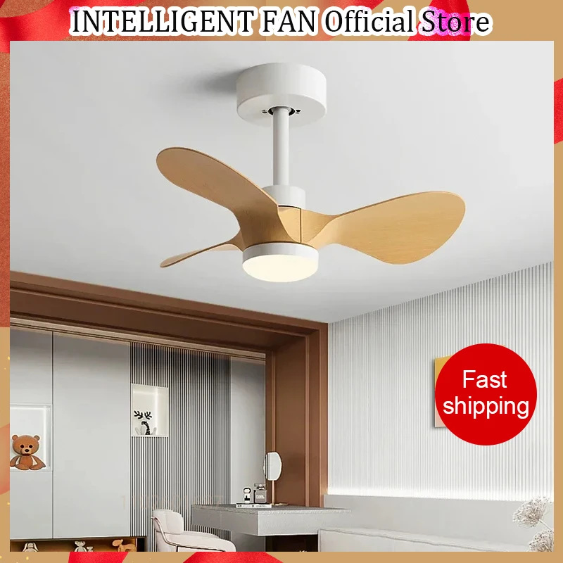 24Inch-Mini-Ceiling-Fan-Modern-Simplicity-Coffee-shop-Creative-Fan ...